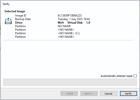 Verifying Backup Files